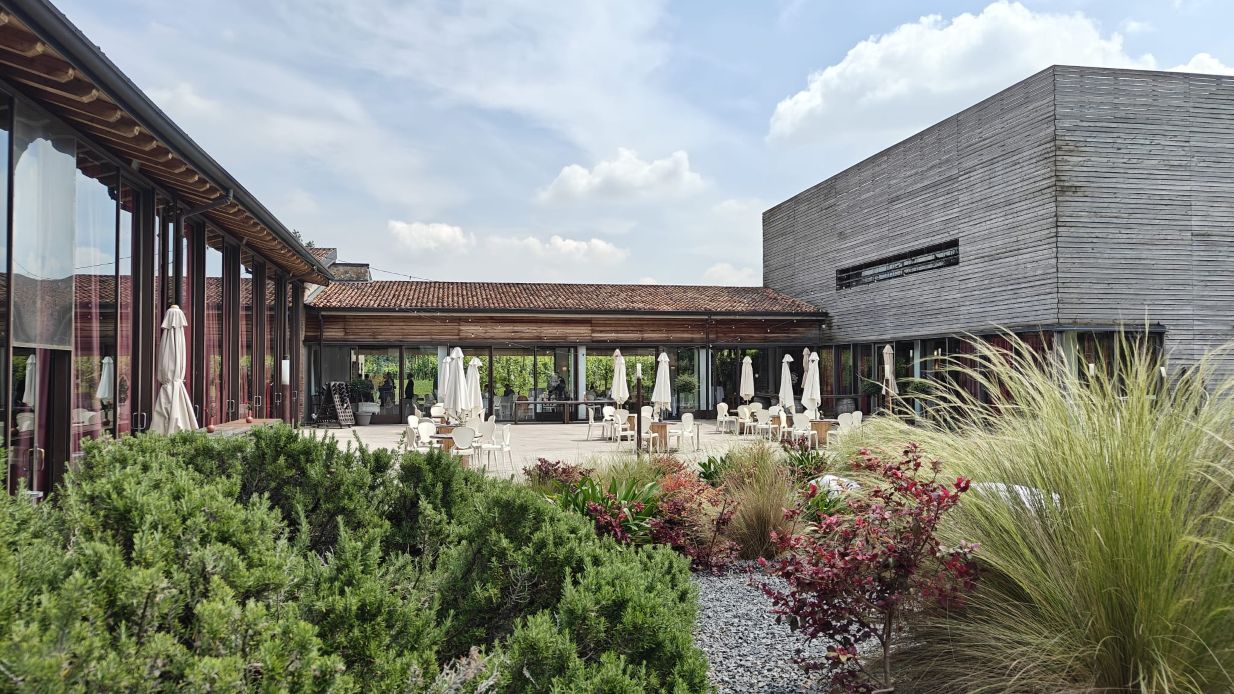 Drop - Shaping the future of Health & Pharma: inside IBSAforYou’s ...